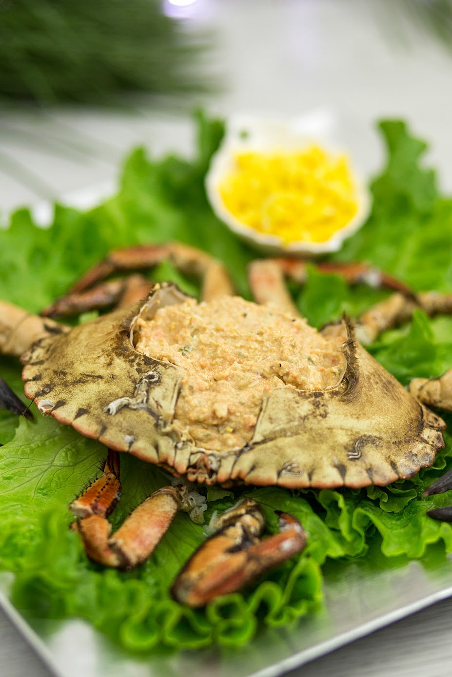 Paté de sapateira (receita simples e fácil) | Ruralea