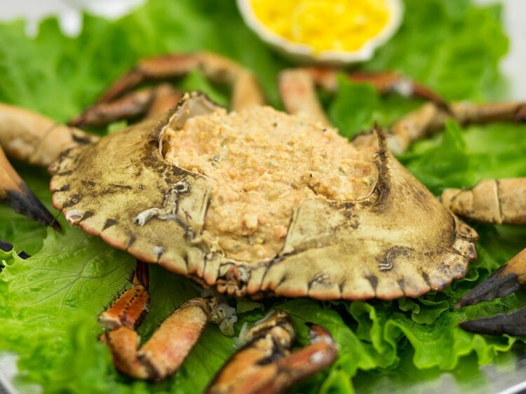 Paté de sapateira (receita simples e fácil) | Ruralea